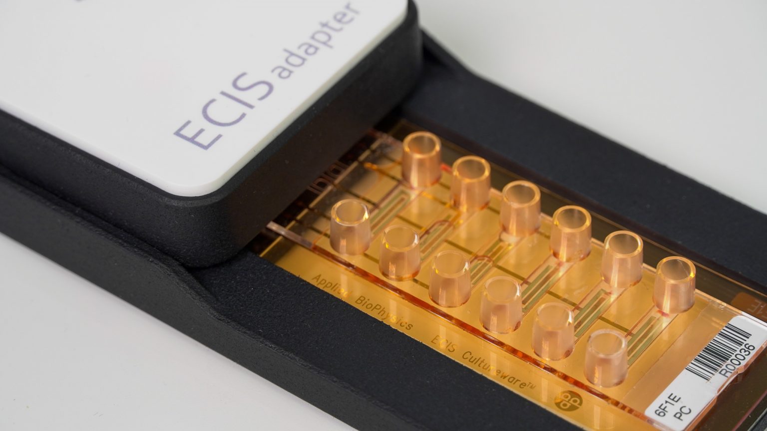 ECISadapter - Sciospec