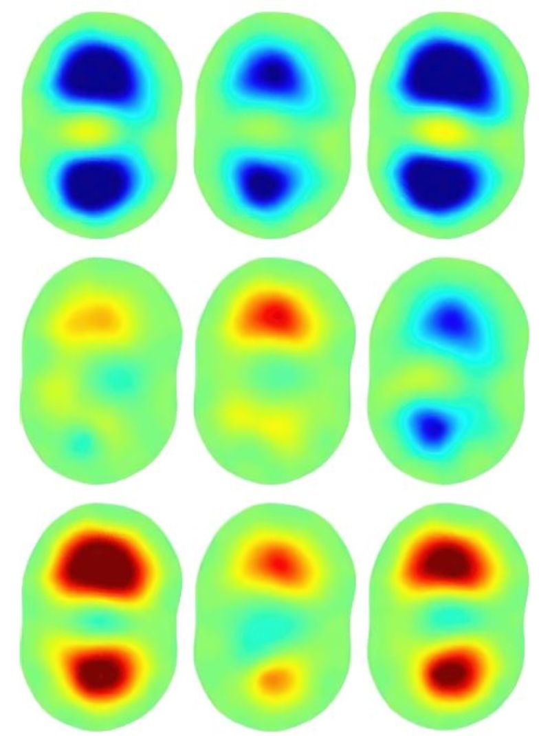 Sciospec's EIT Electrical Impedance Tomography - Sciospec